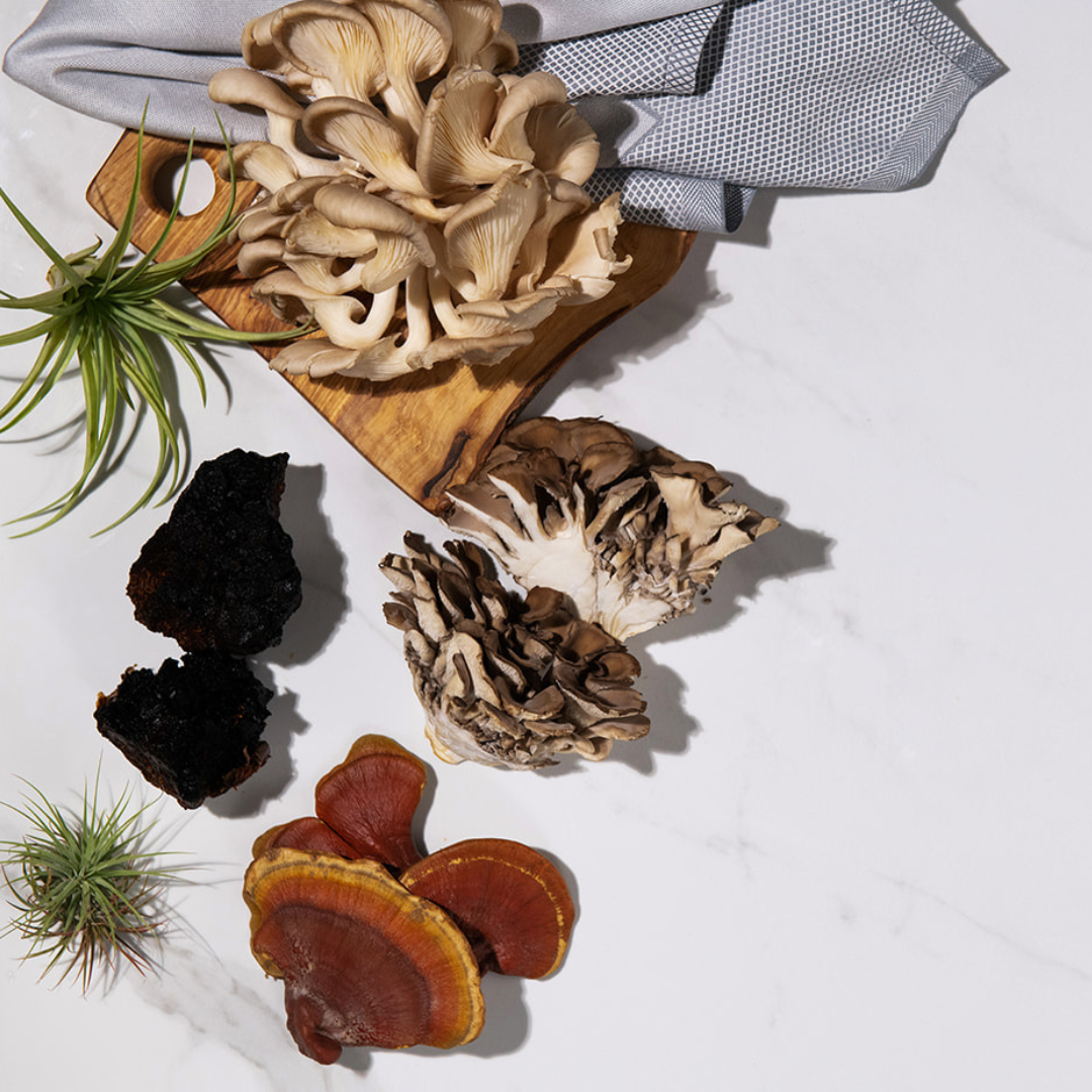 7 Powerful Mushrooms For Your Physical And Mental Health
